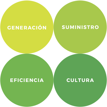 Historia – RIC Energy - Suministro de Energia